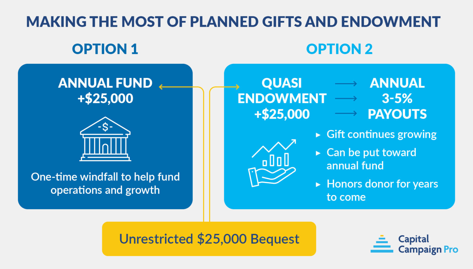 Capital Campaigns and Endowment Fundraising: Does It Work?